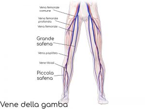 Safena (vena): intervento e sintomi - The Wom Healthy