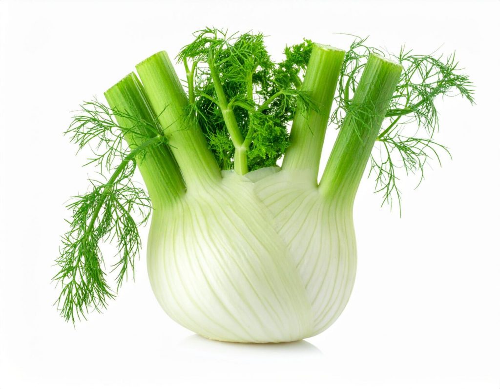 Finocchio: meglio crudo o cotto per il gonfiore? - The Wom Healthy